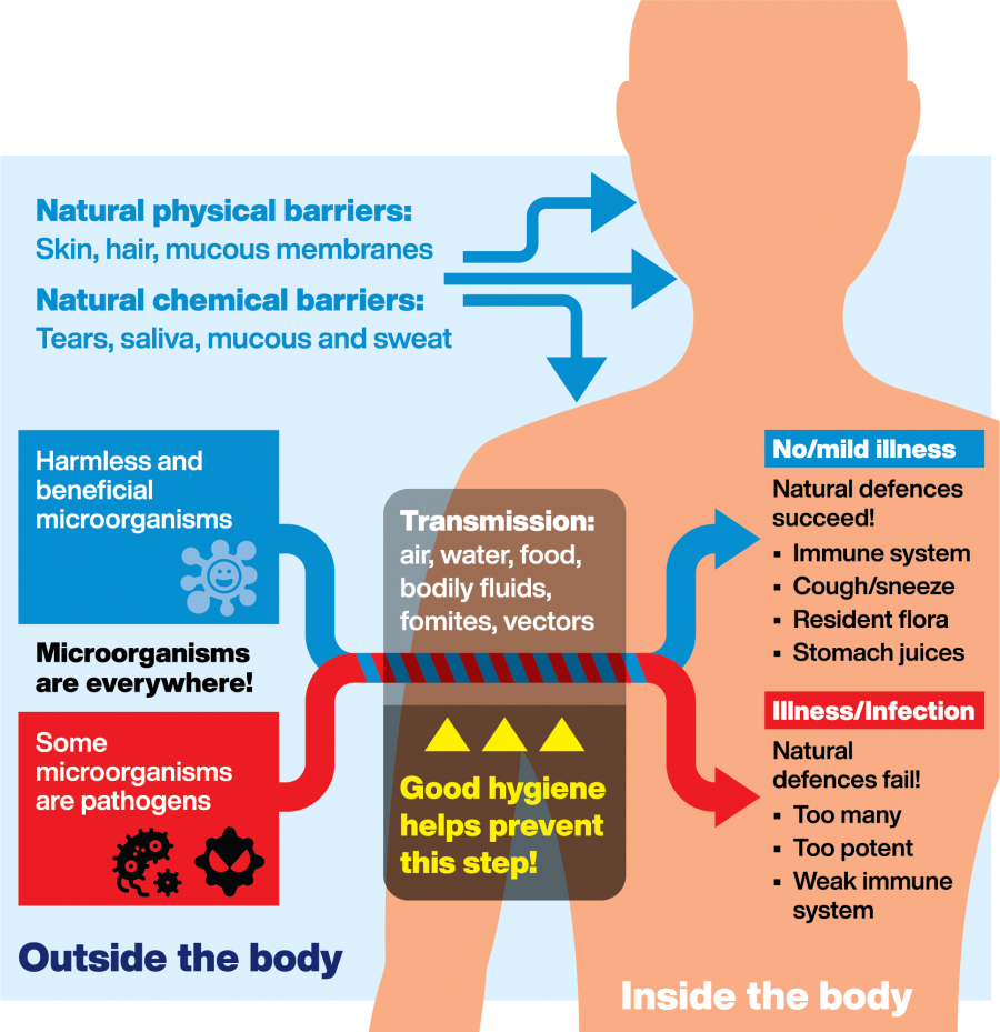 Why is good hygiene so important? – Hygiene for Health
